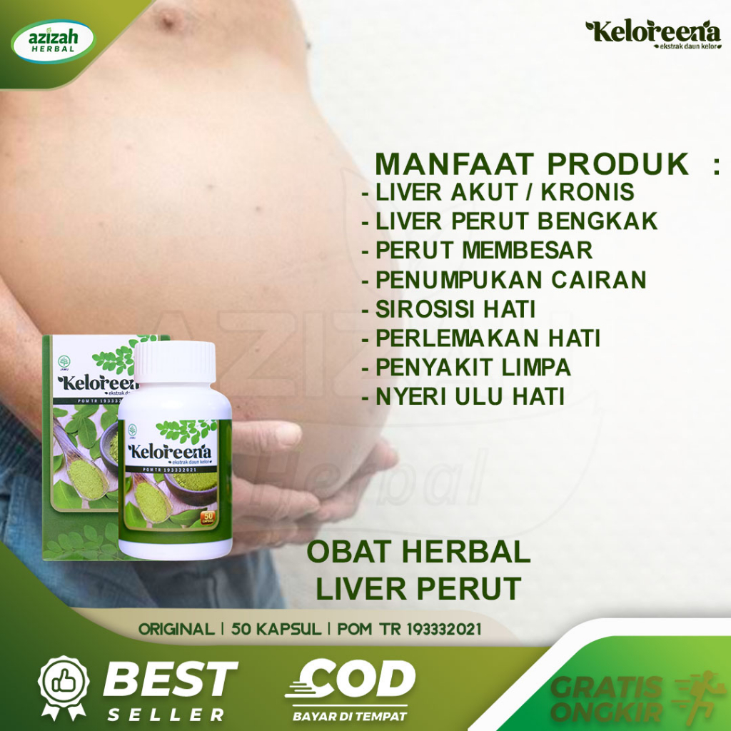 Jual Obat Liver Perut Bengkak Keras Kembung Begah Asites Pembengkakan ...