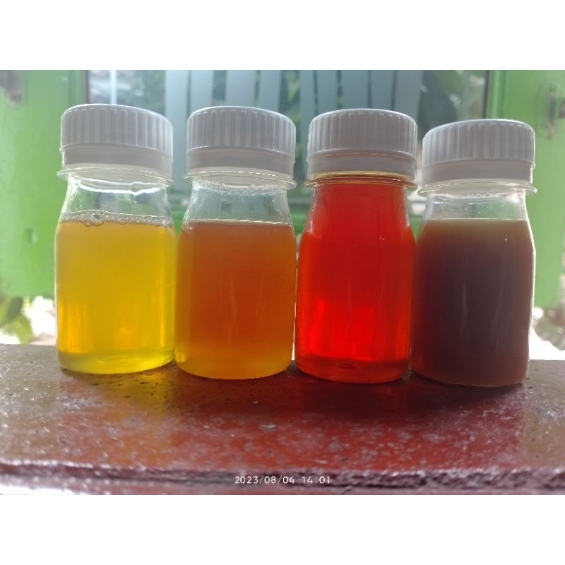 Jual Madu klanceng kelulut trigona levi bambu Sarawakensis itama ...