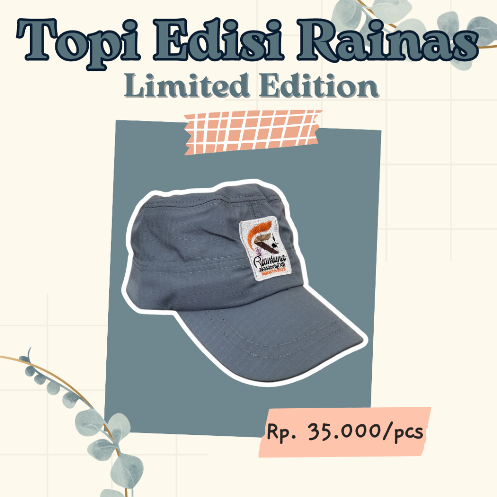 Jual Topi Bordir Logo Rainas Bahan Ripstop Limited Edition | Shopee ...
