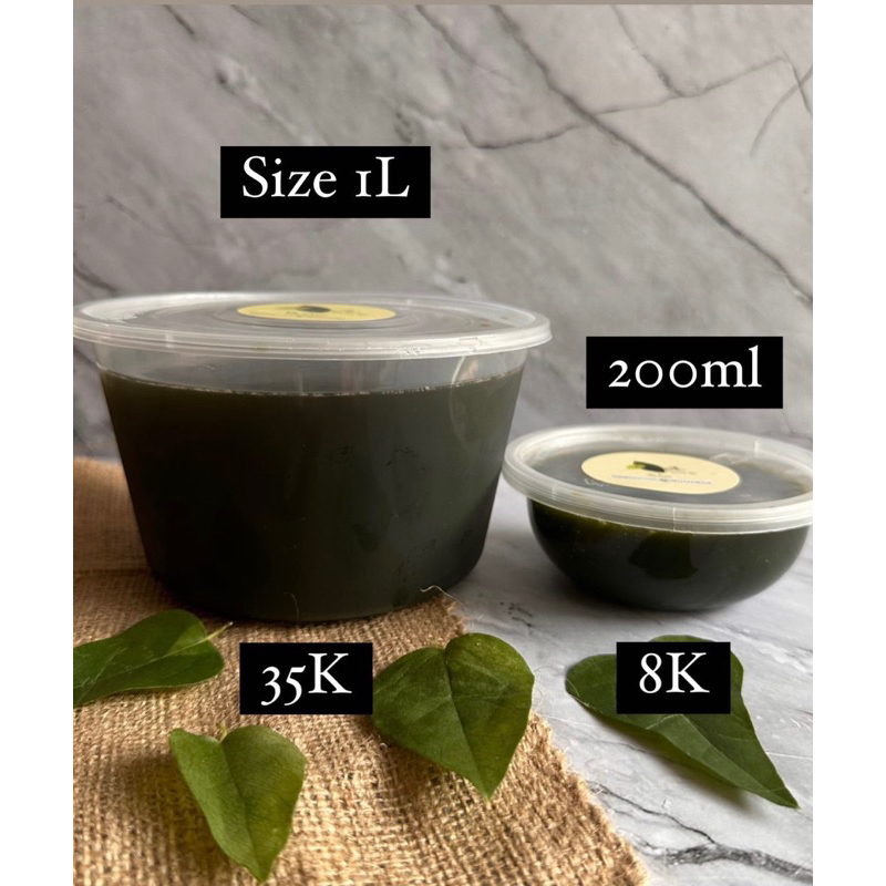 Jual Cincau Ijo/cincau hijau/ cincau asli sehat 1 liter | Shopee Indonesia
