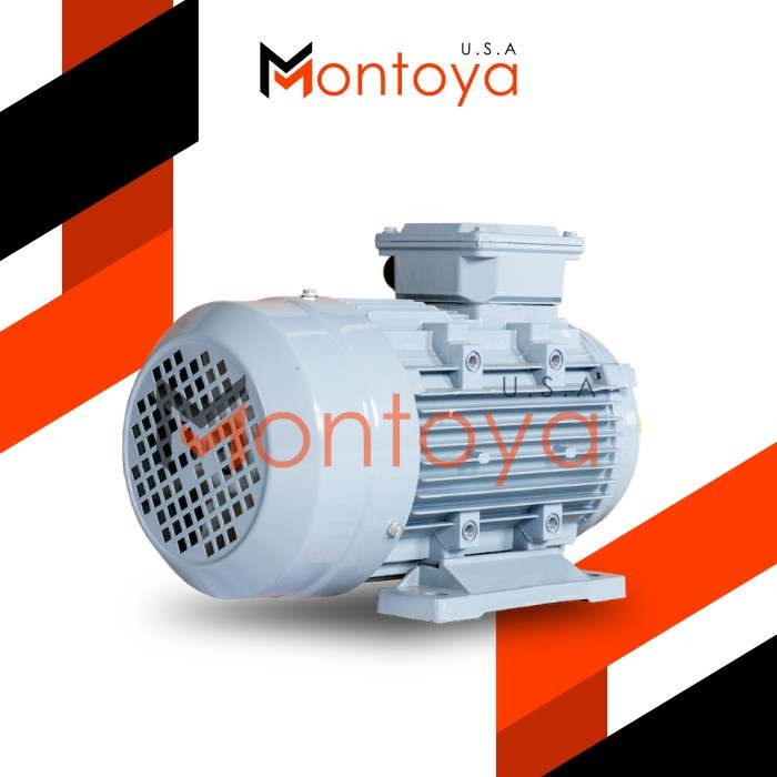 Jual Dinamo Elektro Motor Montoya 2 Hp 1 Phase Mesin Penggerak Listrik | Shopee Indonesia