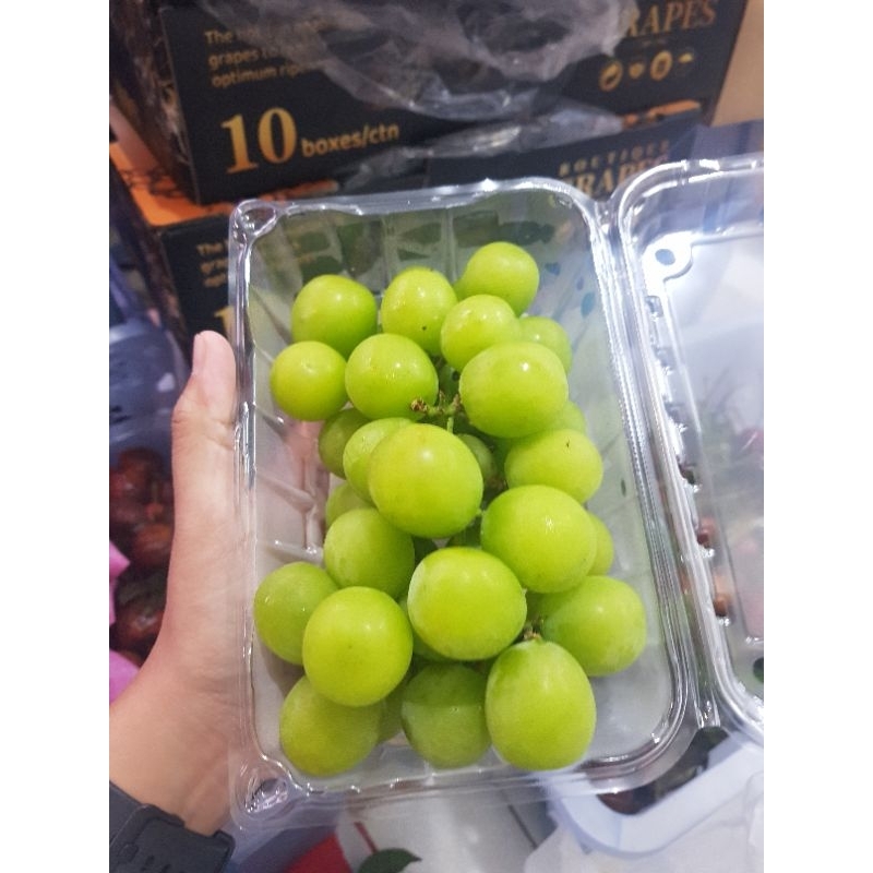 Jual Anggur Shine Muscat Pack | Shopee Indonesia