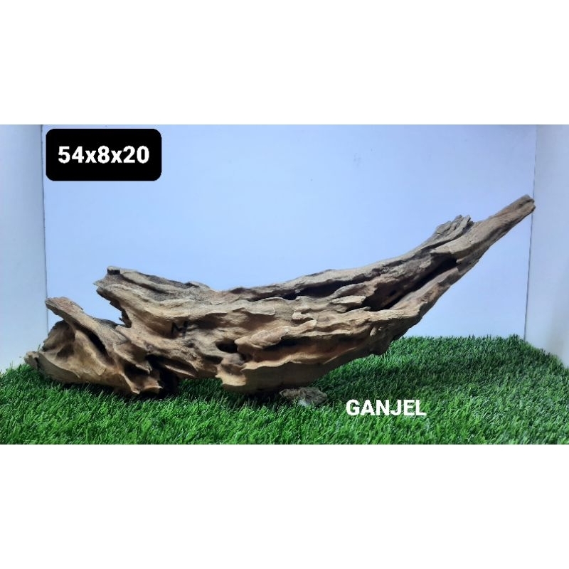 Jual Kayu Rentek Aquascape Sudah Rendaman Full Tenggelam | Shopee Indonesia
