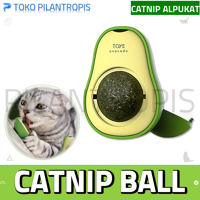 Jual BOLA CATNIP KUCING BALL TEMPEL PUTAR AVOCADO CATMINT MAINAN BUAT ... Jual BOLA CATNIP KUCING BALL TEMPEL PUTAR AVOCADO CATMINT MAINAN BUAT ...