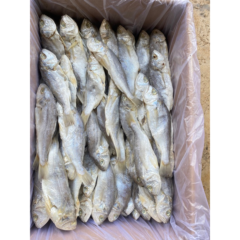 Jual ikan asin kepala batu / gulama :500 gram | Shopee Indonesia