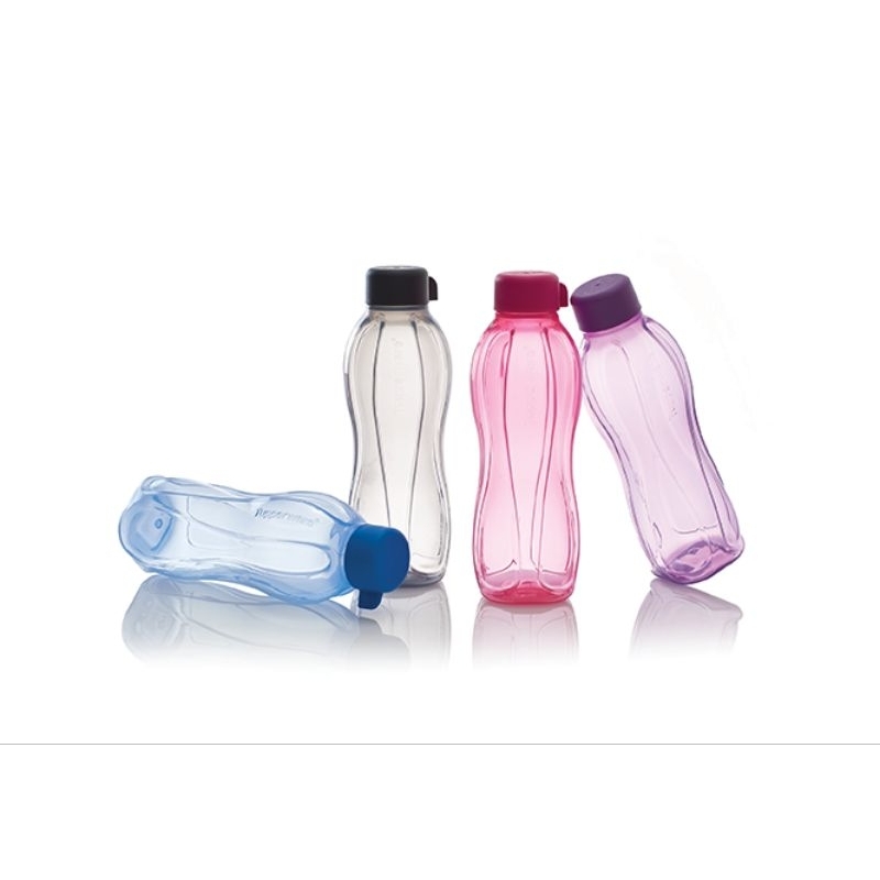 Jual Tupperware eco bottle 500 ml (1 pcs) | Shopee Indonesia