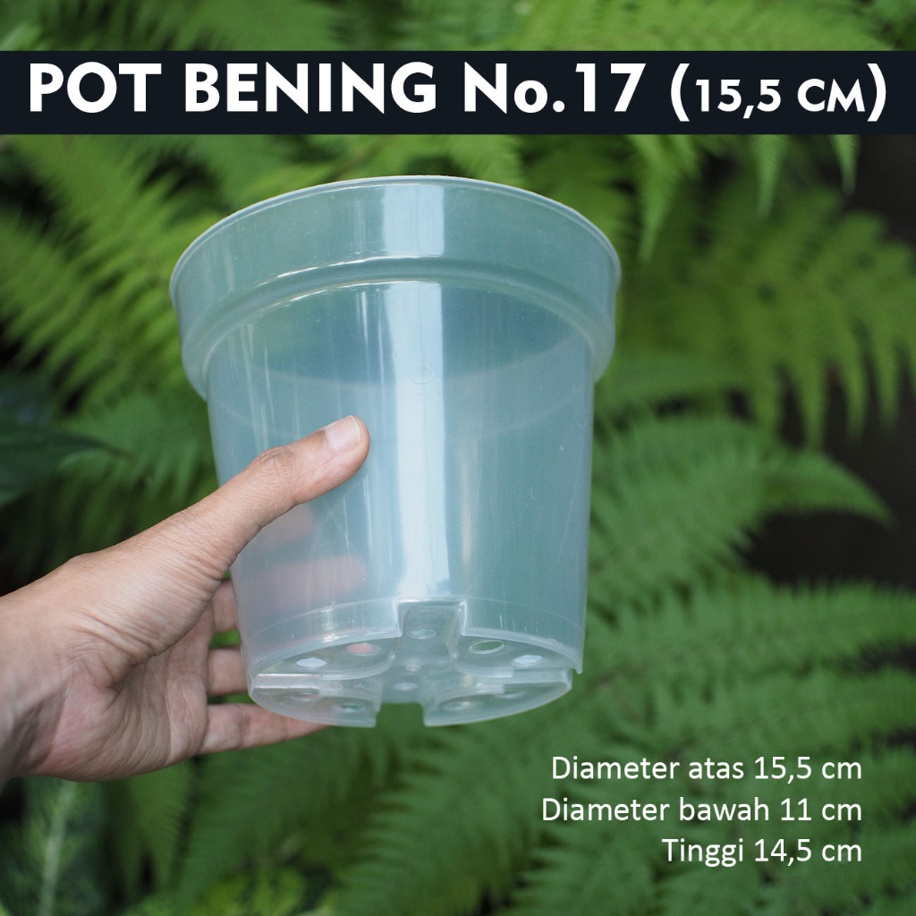 Jual Pot Bening Plastik No.17 (15,5 cm) - Pot Bening Poros - Pot Bening ...