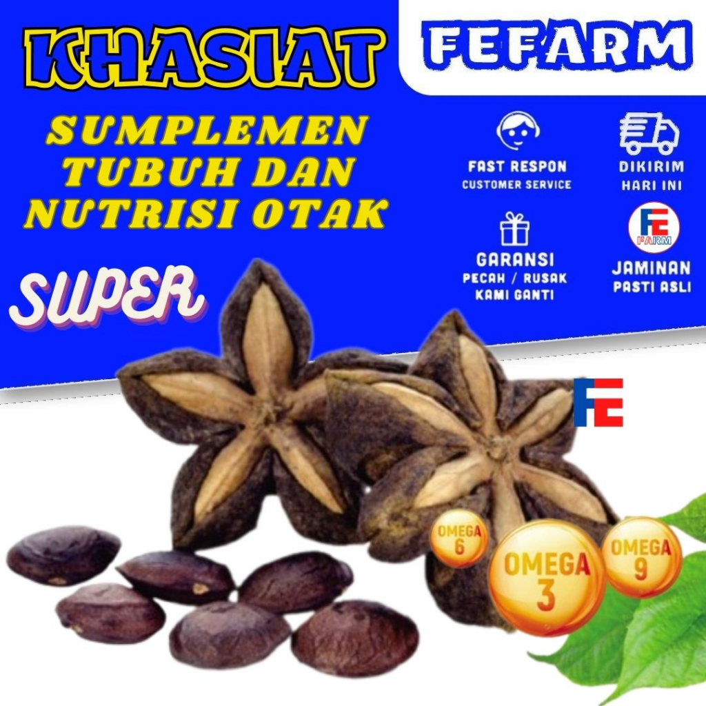 Jual Benih Bibiit Bibit Kacang Biji SACHA INCHI 1kg (BISA COD) FEFARM ...