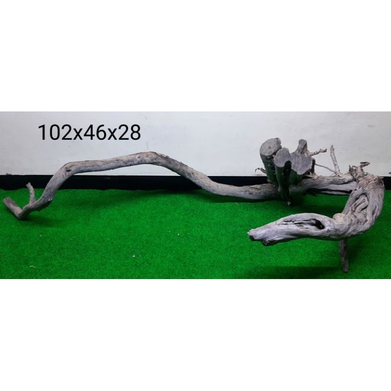 Jual Kayu Santigi Laut - Kayu Tenggelam - Aquascape - Channa ...