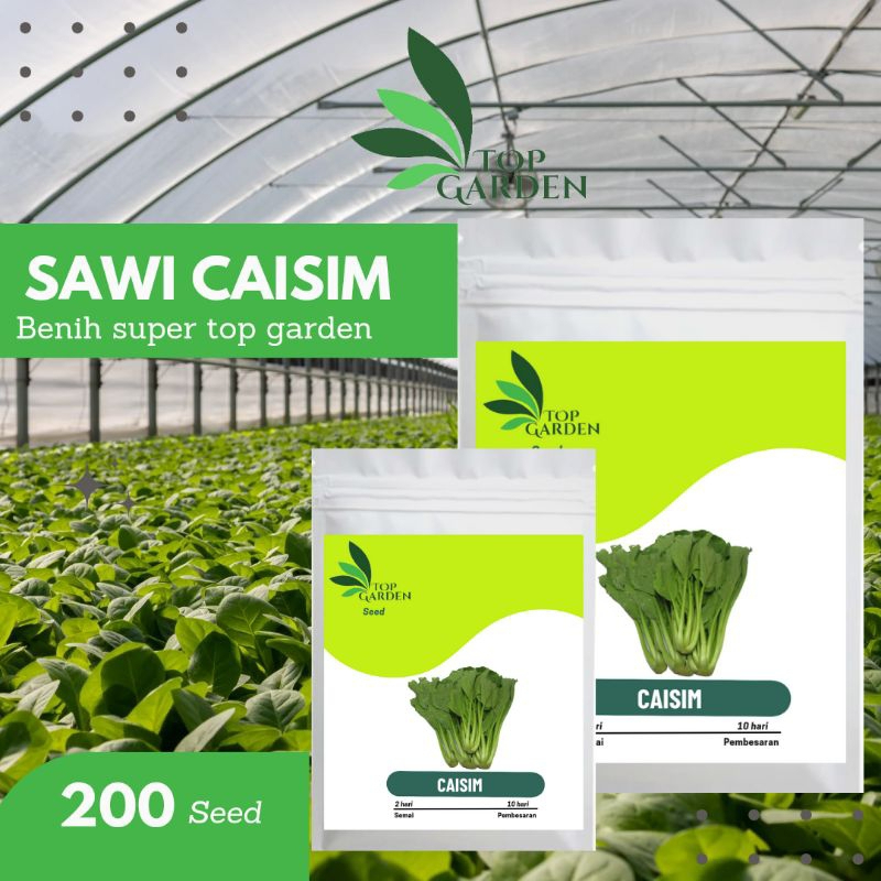 Jual TOP GARDEN BENIH SUPER SAYURAN SAWI CAISIM BIBIT SAWI CAISIM ...