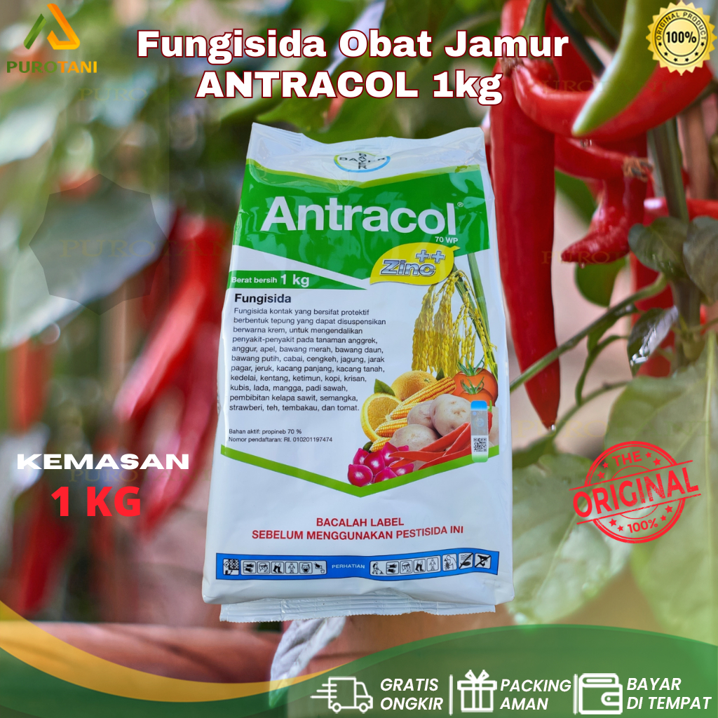 Jual Fungisida Obat Jamur Antracol 70 wp 1 KG Plus Zinc | Shopee Indonesia