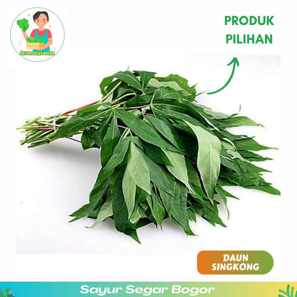 Jual Daun singkong sayur segar sayur fresh lalap nasi padang | Shopee ...