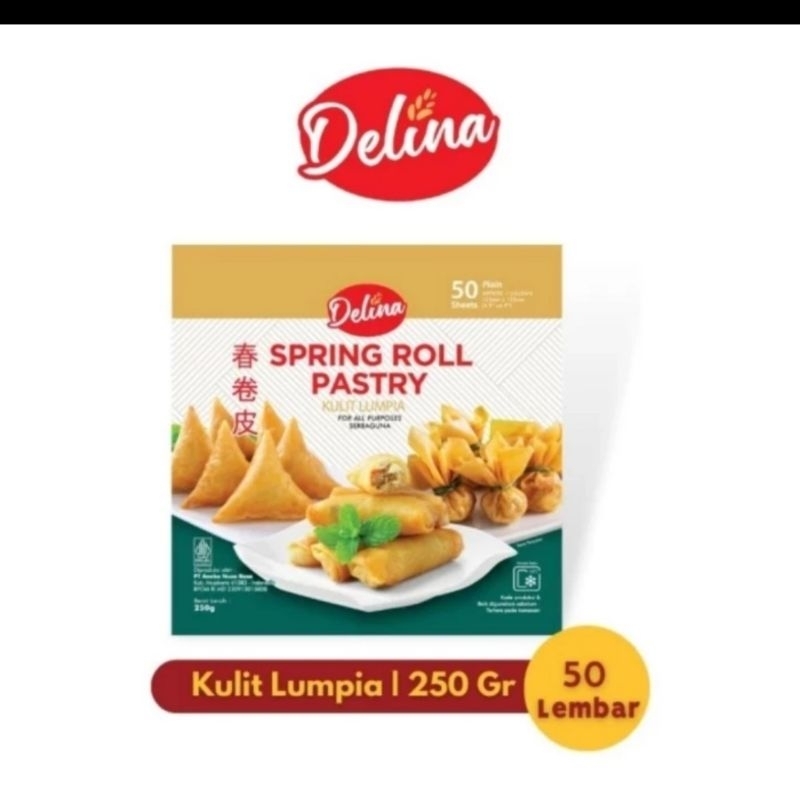 Jual FINNA DELINA SPRING ROLL PASTRY KULIT LUMPIA 215X215 MM ISI 40 ...