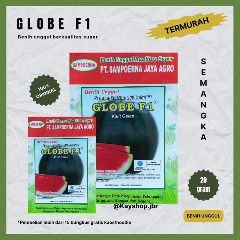 Jual Benih Semangka Merah Bulat Non Biji GLOBE F1 - cap Sampoerna (isi ...