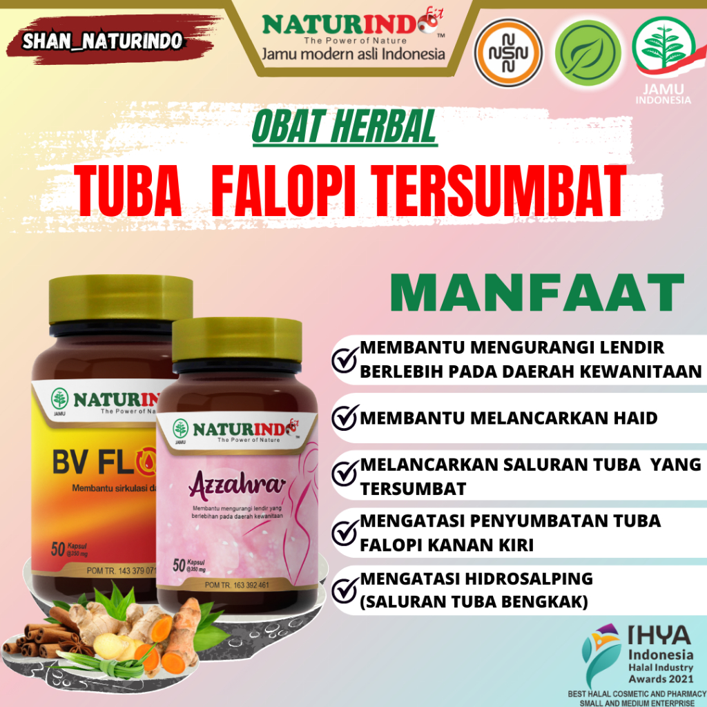 Jual Obat Tuba Falopi Tersumbat Nonpaten Herbal Naturindo | Shopee ...