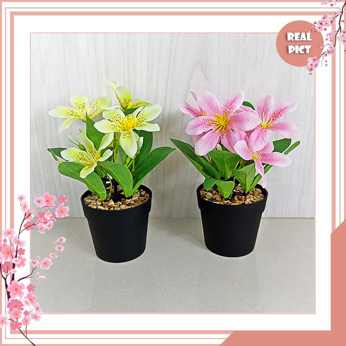 Jual UNICO Pot Bunga Hias Plastik Dekorasi Ruangan Tanaman Bunga Hias ...