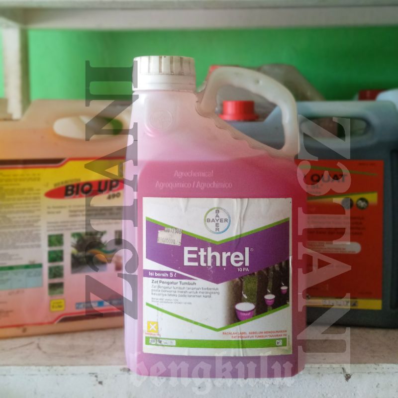 Jual ETHREL 10 PA 5 L Perangsang Lateks Getah Karet Original Pabrik ...