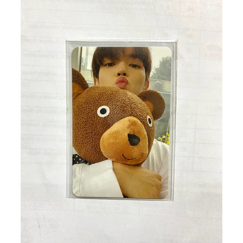 Jual nct taeyong boneka pc sticker album | Shopee Indonesia