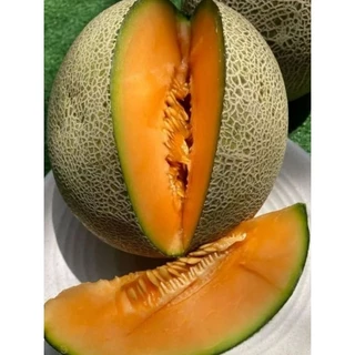 Jual Melon 1 Kg Terlengkap & Harga Terbaru November 2024 | Shopee Indonesia