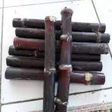 Jual TEBU HITAM/TEBU IRENG ASLI MANIS DI JUAL PER BATANG 20 CM | Shopee ...