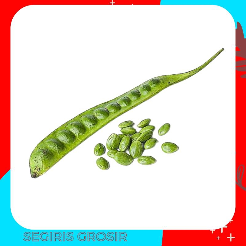 Jual Pete petai segar seikat isi 10 papan | Shopee Indonesia