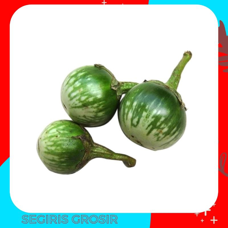 Jual Terong mini lalap segar | Shopee Indonesia