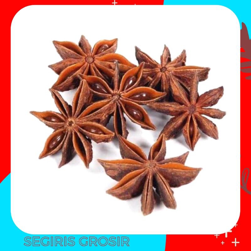 Jual Bunga kembang lawang | Shopee Indonesia