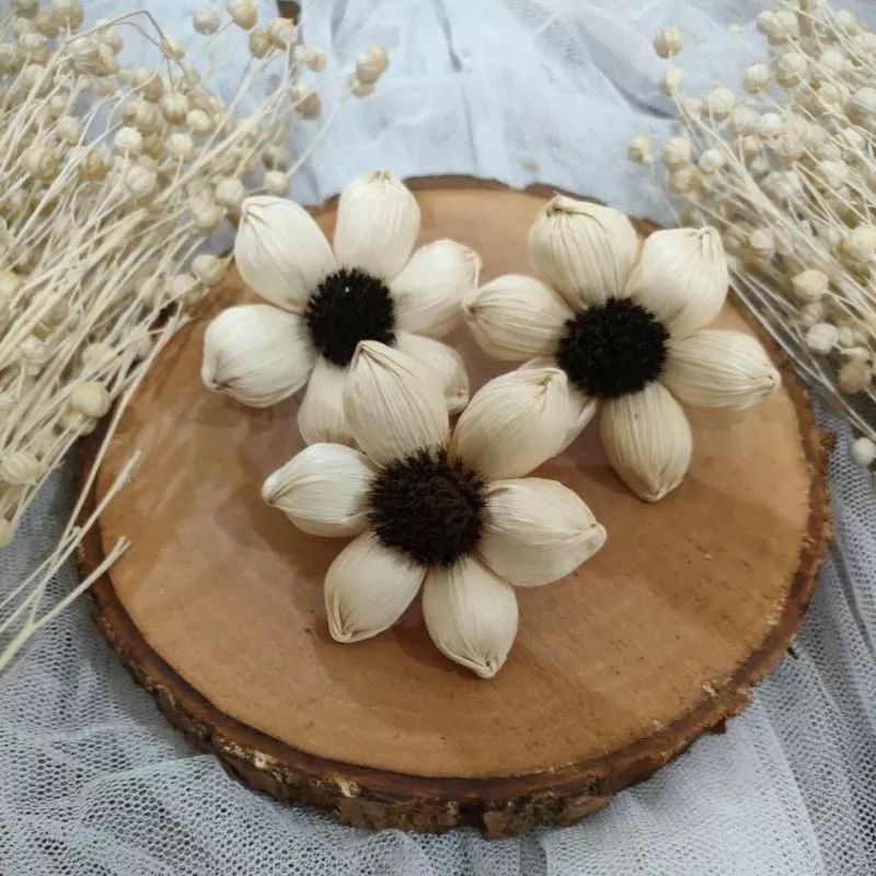 Jual Bunga Klobot Jagung Bunga Kulit Jagung Shopee Indonesia