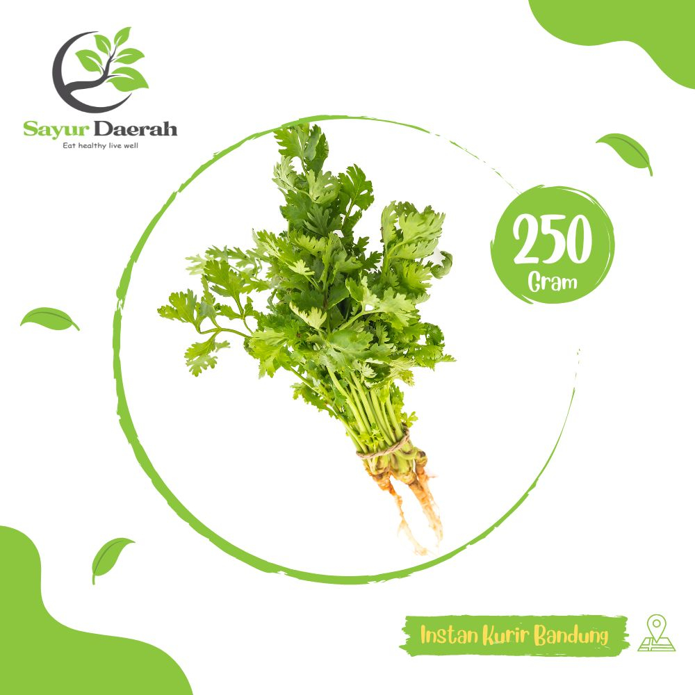 Jual Daun Ketumbar Wangsui 250 Gr | Sayur Daerah | Shopee Indonesia