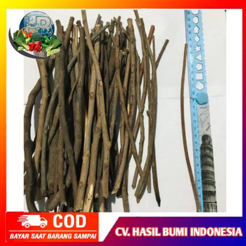 Jual Ranting kayu kering 20cm bahan kerajinan tangan prakarya | Shopee ...