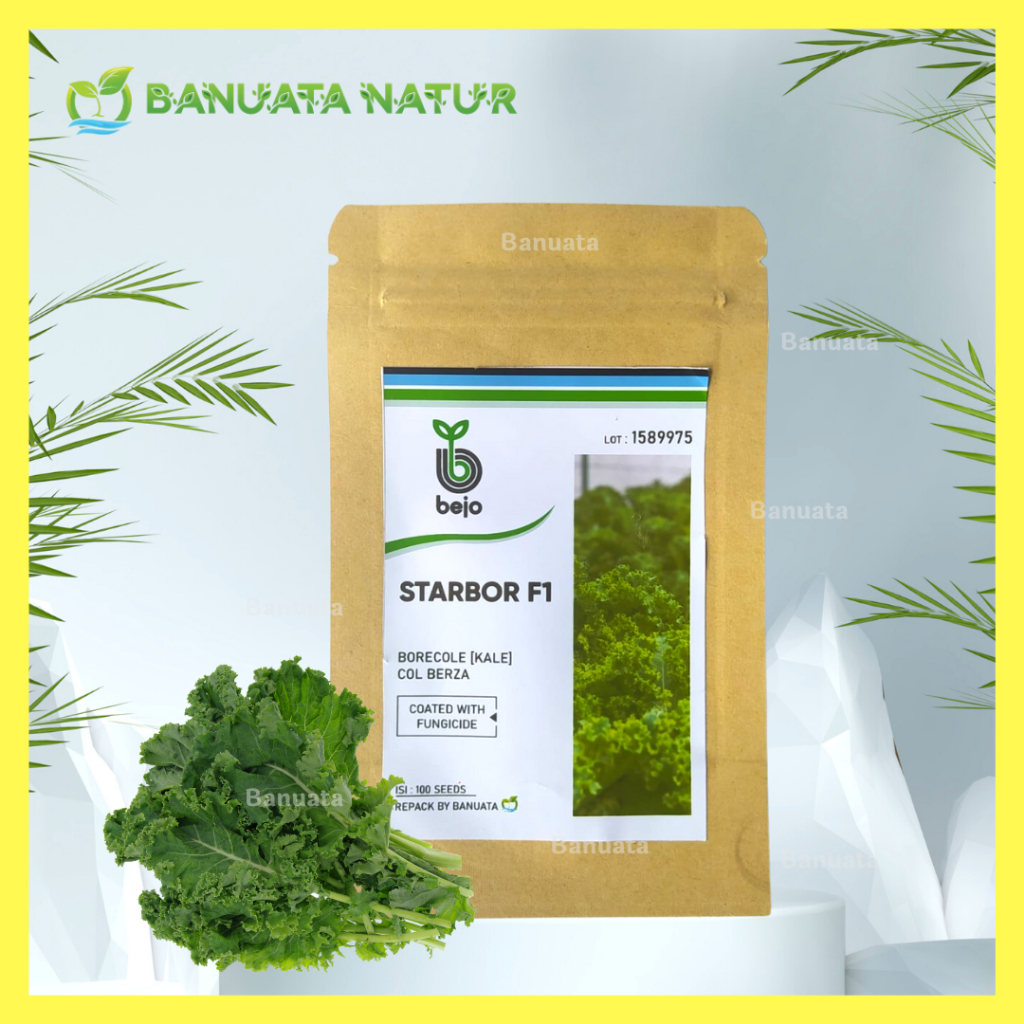Jual Benih Bibit Kale Starbor Merek Bejo isi 100 biji - Berkualitas ...