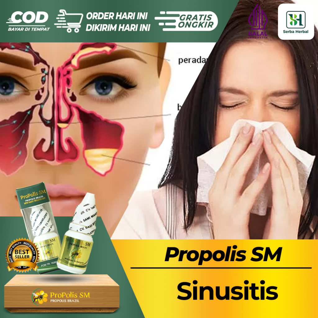Jual Obat sinusitis herbal, obat untuk sinusitis, hidung tersumbat ...