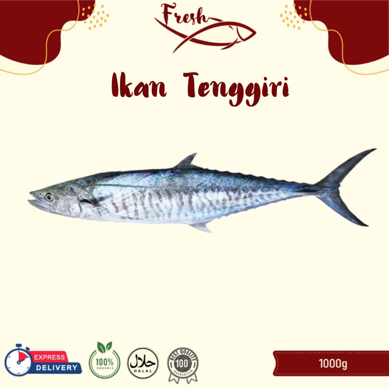 Jual IKAN TENGGIRI PAPAN FRESH 1kg | Shopee Indonesia
