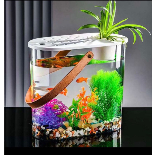 Jual aquarium ikan dengan mini pot & lubang selang oksigem | Shopee ...