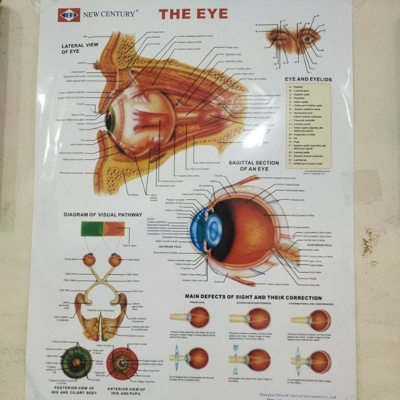 Jual Poster mata/The Eye/bahasa Inggris | Shopee Indonesia