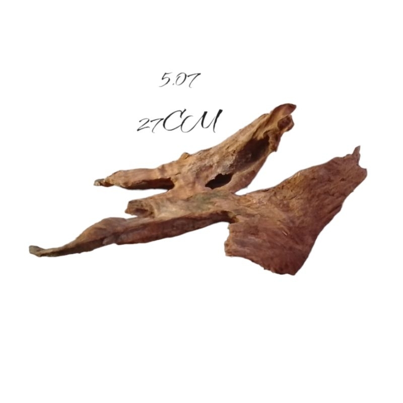 Jual Kayu Rentek Pranak Aquascape / Drift Wood Aquascape | Shopee Indonesia