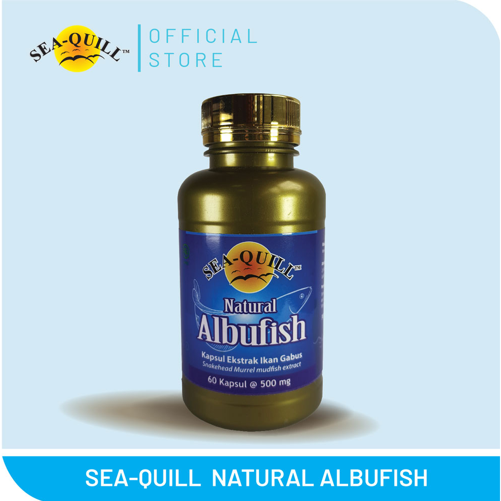 Jual Sea Quill NATURAL ALBUFISH 60 kapsul protein ALBUMIN | Shopee ...