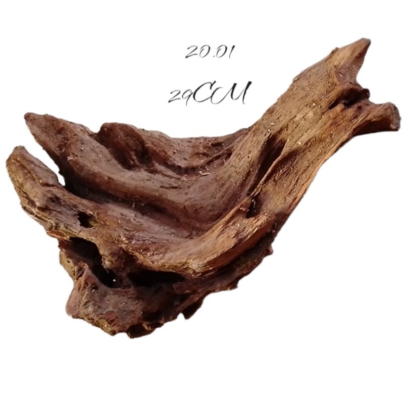 Jual Kayu Rentek Pranak Aquascape / Drift Wood Aquascape | Shopee Indonesia