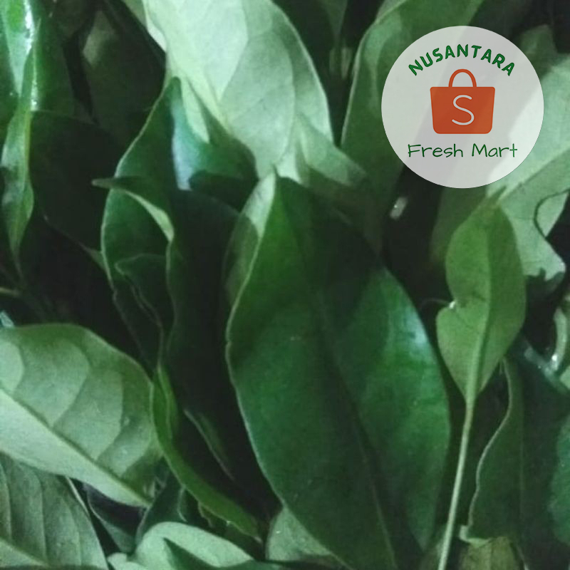 Jual Daun Salam Segar 100 gram | Shopee Indonesia