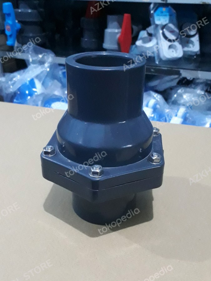 Jual Check Valve Kolam Renang 1,5 in Boost | Flap Valve Penampungan ...
