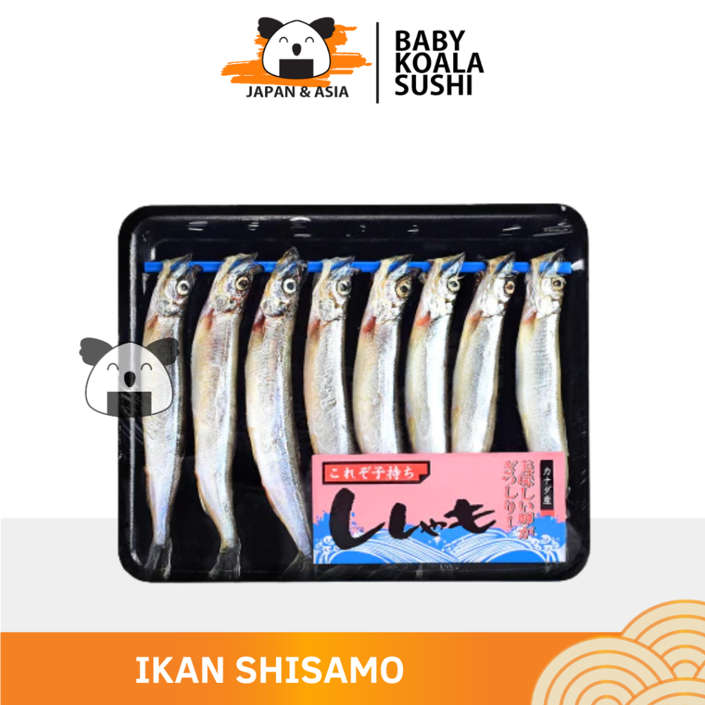 Jual Ikan Shisamo Fish | Capelin Fish Premium Import Frozen | Full ...