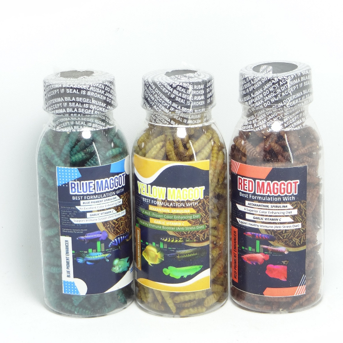 Jual Kemasan botol Maggot BLUE/YELLOW/RED | Shopee Indonesia
