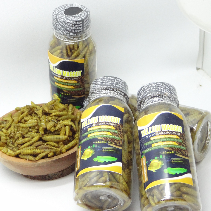 Jual Kemasan botol YELLOW maggot | Shopee Indonesia