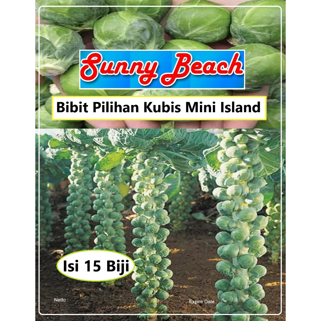 Jual Bibit Pilihan Kubis Mini Island |Biji Benih Kol Mini|Biji Bibit ...