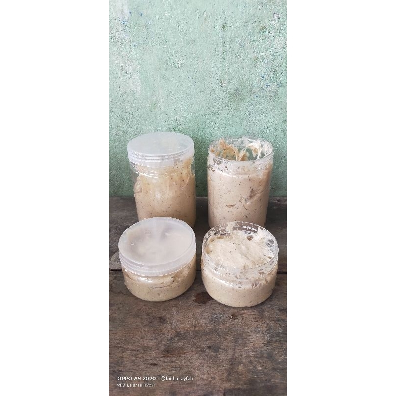 Jual getah pulut 5 ons pulut getah pohon kedundung hutan siap pakai ...
