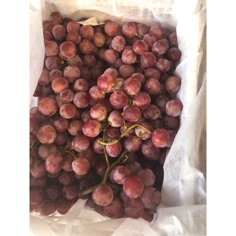 Jual Anggur Red Mc Fresh / Kg | Shopee Indonesia