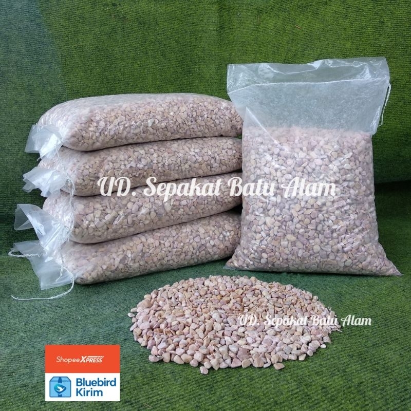 Jual Batu Taman Coral Sikat Orange Akik 10 kg | Shopee Indonesia