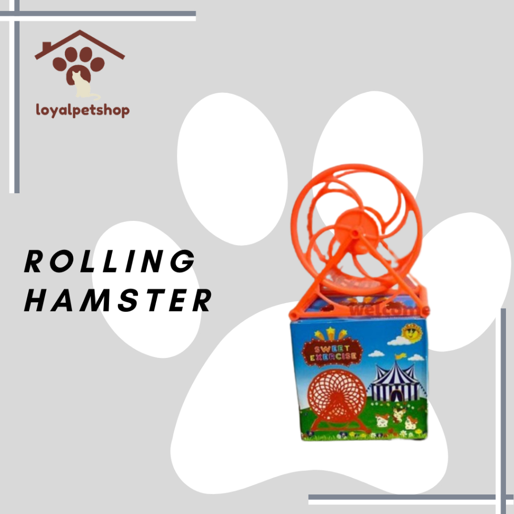 Jual Mainan Hamster - Kincir Rolling Hamster X8 | Shopee Indonesia
