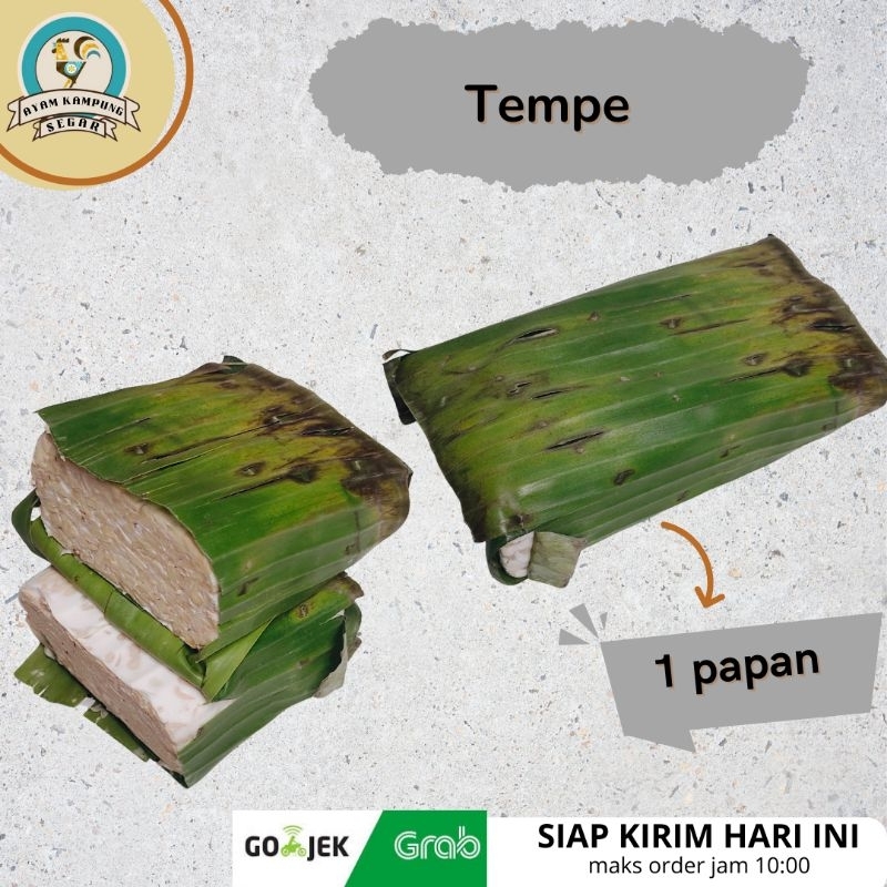 Jual Tempe bungkus daun pisang papan | Shopee Indonesia