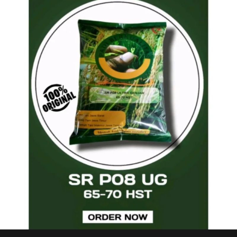 Jual benih padi SR P08 kemasan 1kg | Shopee Indonesia